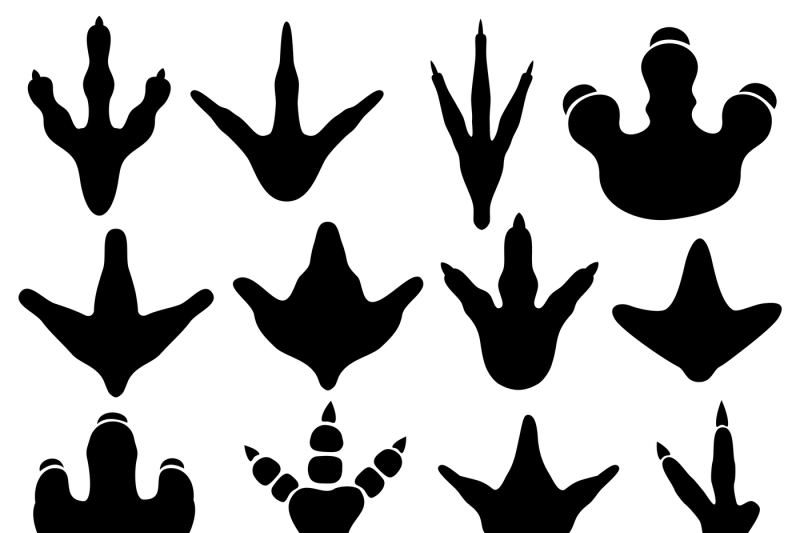 Dinosaur Claw Footprint Silhouettes Vector Set By Microvector 