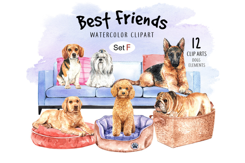 Dog watercolor clipart, Pet clip arts, Dog Set F By SapG Art ...