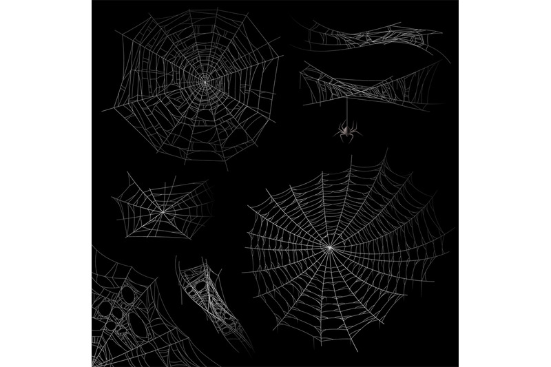 Cobweb. Spider web halloween decor elements, gossamer trap. Spooky fea ... Cobweb. Spider web halloween decor elements, gossamer trap. Spooky fea ...