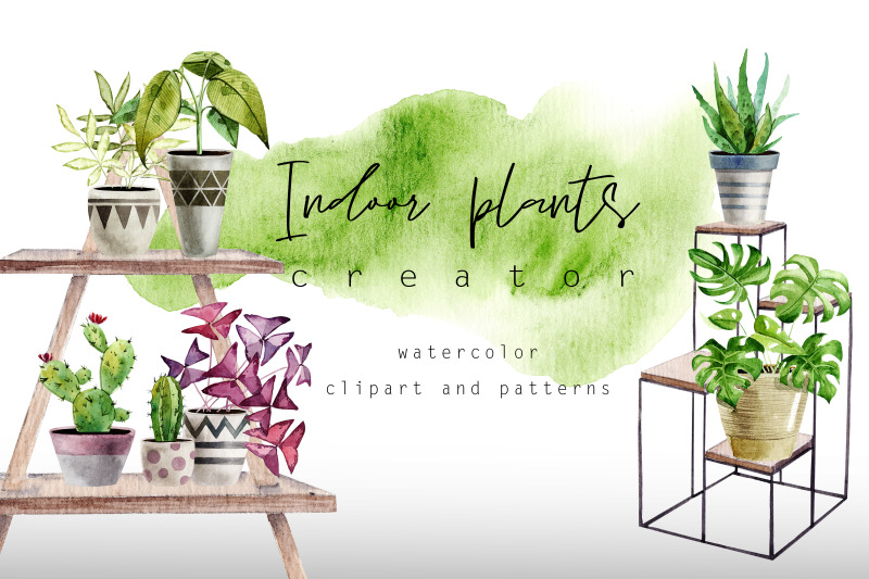 Indoor plants. Watercolor clipart By Dervik_art | TheHungryJPEG