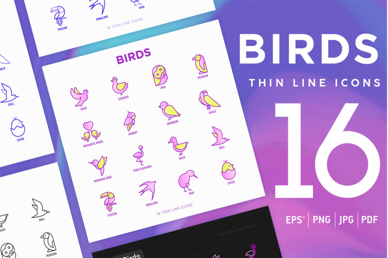 Birds | 16 Thin Line Icons Set By Alexey Blogoodf | TheHungryJPEG