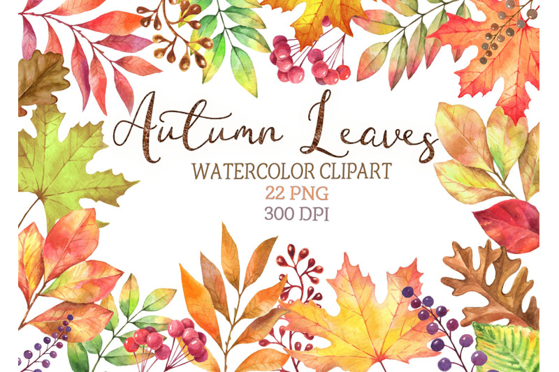 Watercolor autumn leaves clipart png maple Oak Leaves By VilenaArt ...