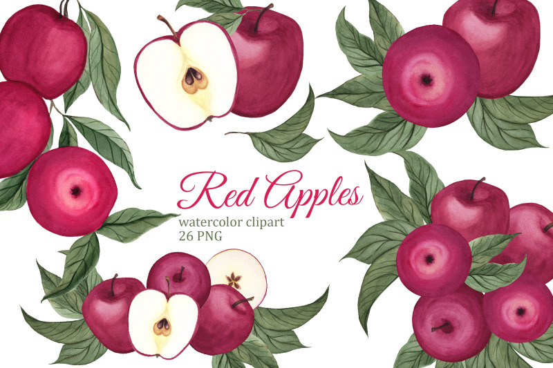 Red Apples Watercolor Clipart. Autumn, Summer PNG, Fall wreath, Harves ...