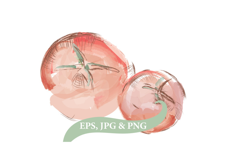 Tomatoes Clipart, Watercolor Fruit By ArtSpot | TheHungryJPEG