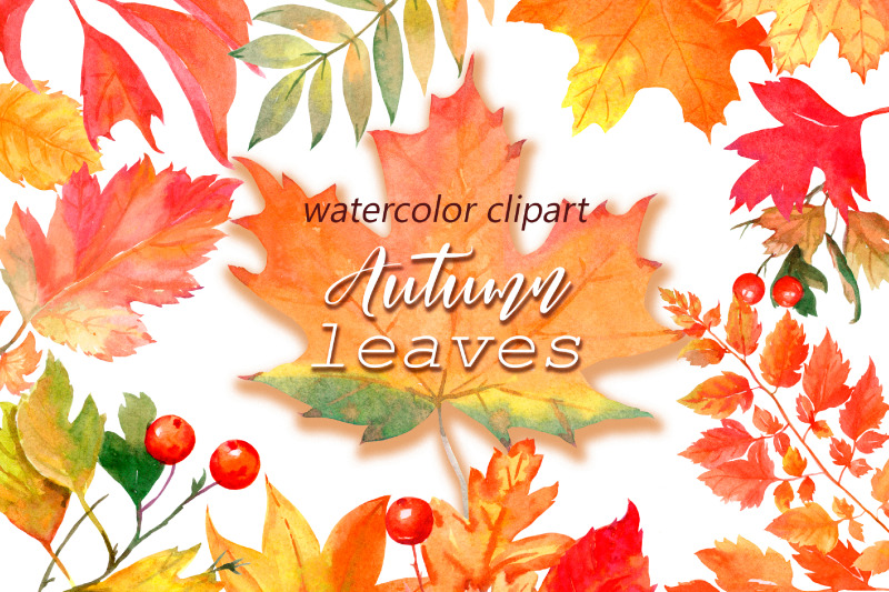 Fall Leaves watercolor clipart Bundle | Autumn leaf png. By ...