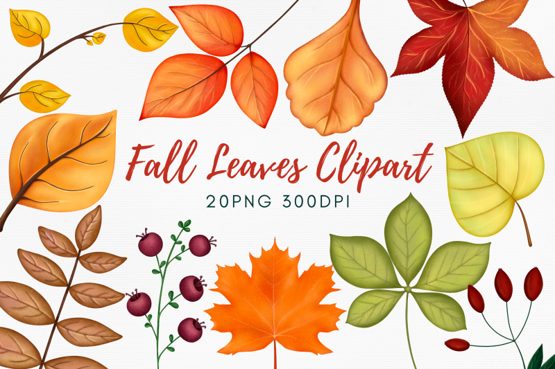 Fall Leaves Clipart Illustration By ZayamiArt | TheHungryJPEG
