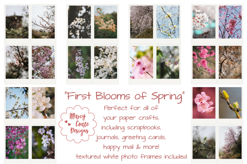 First Blooms of Spring Photos with white frames By Marcy Coate ...