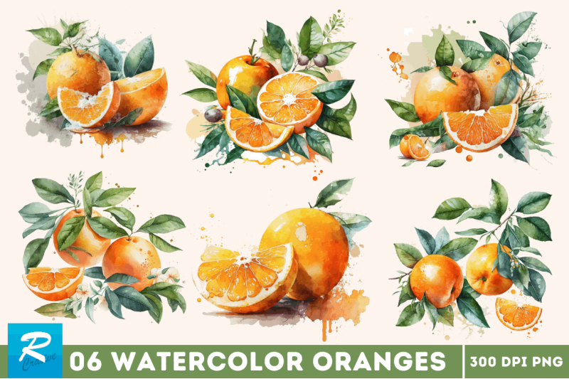 Watercolor Oranges Clipart Bundle By Regulrcrative | TheHungryJPEG