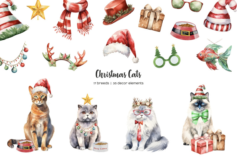 Watercolor Christmas cat clipart. Xmas cats clip art. Cat breeds PNG By ...
