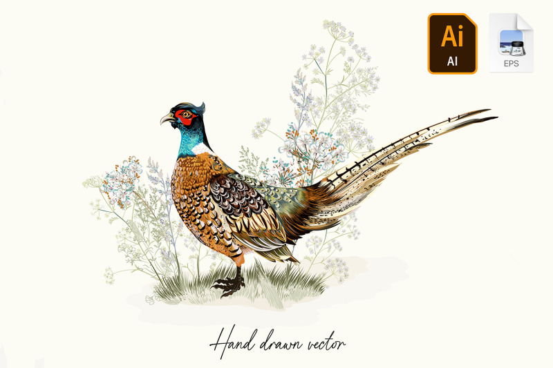 Pheasant vector illustration By FleurArt | TheHungryJPEG