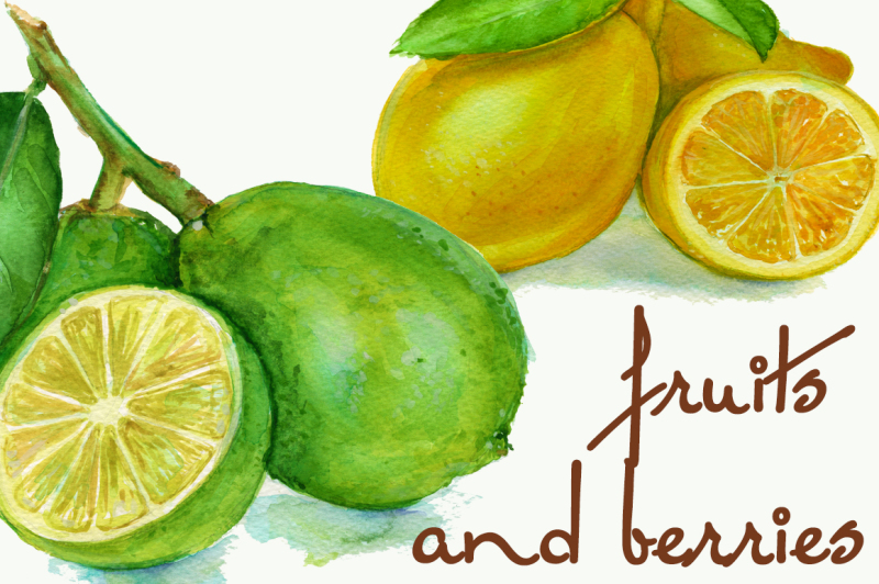 set of 22 watercolors of fruits By watercolor world | TheHungryJPEG