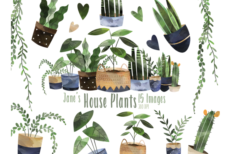 Watercolor House Plant Clipart By Digitalartsi | TheHungryJPEG