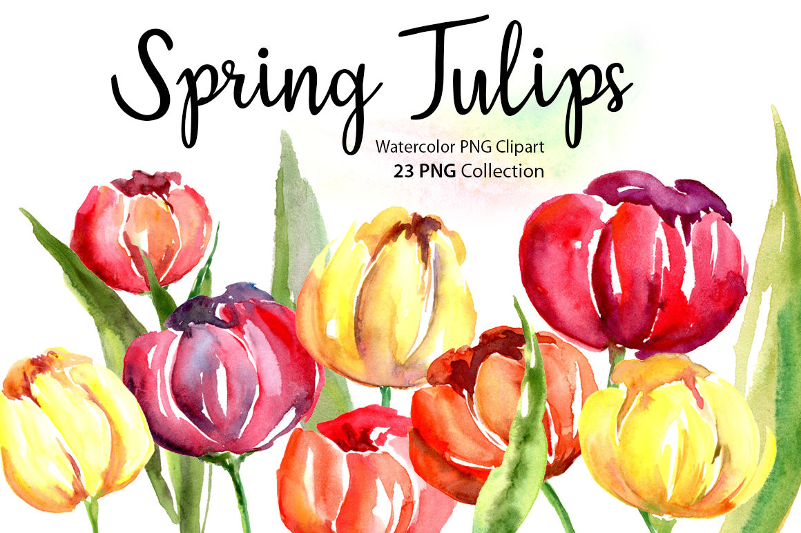 Watercolor Spring Tulips PNG Flowers By WatercolorFlowers ...