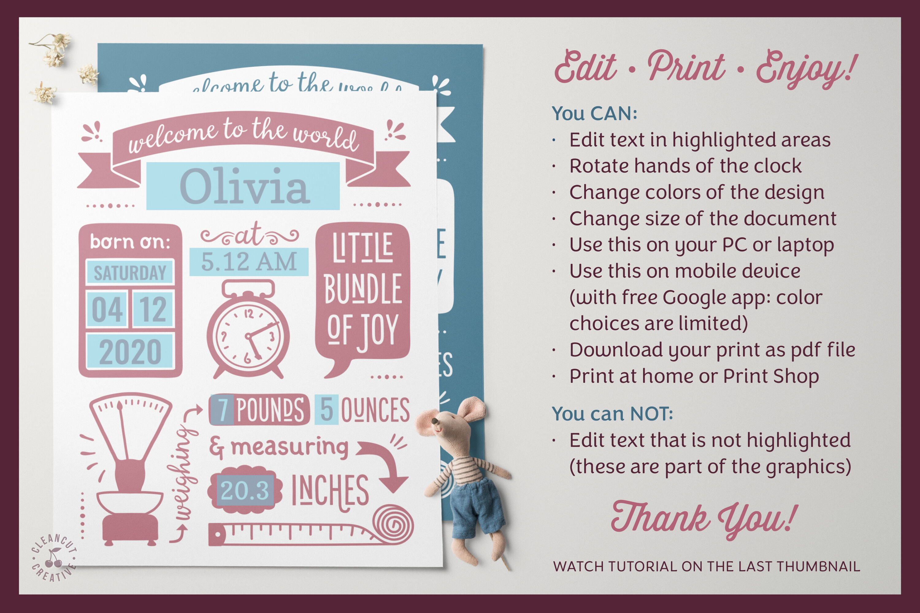 Printable BIRTH ANNOUNCEMENT Template GOOGLE Edit Baby Stats Print 