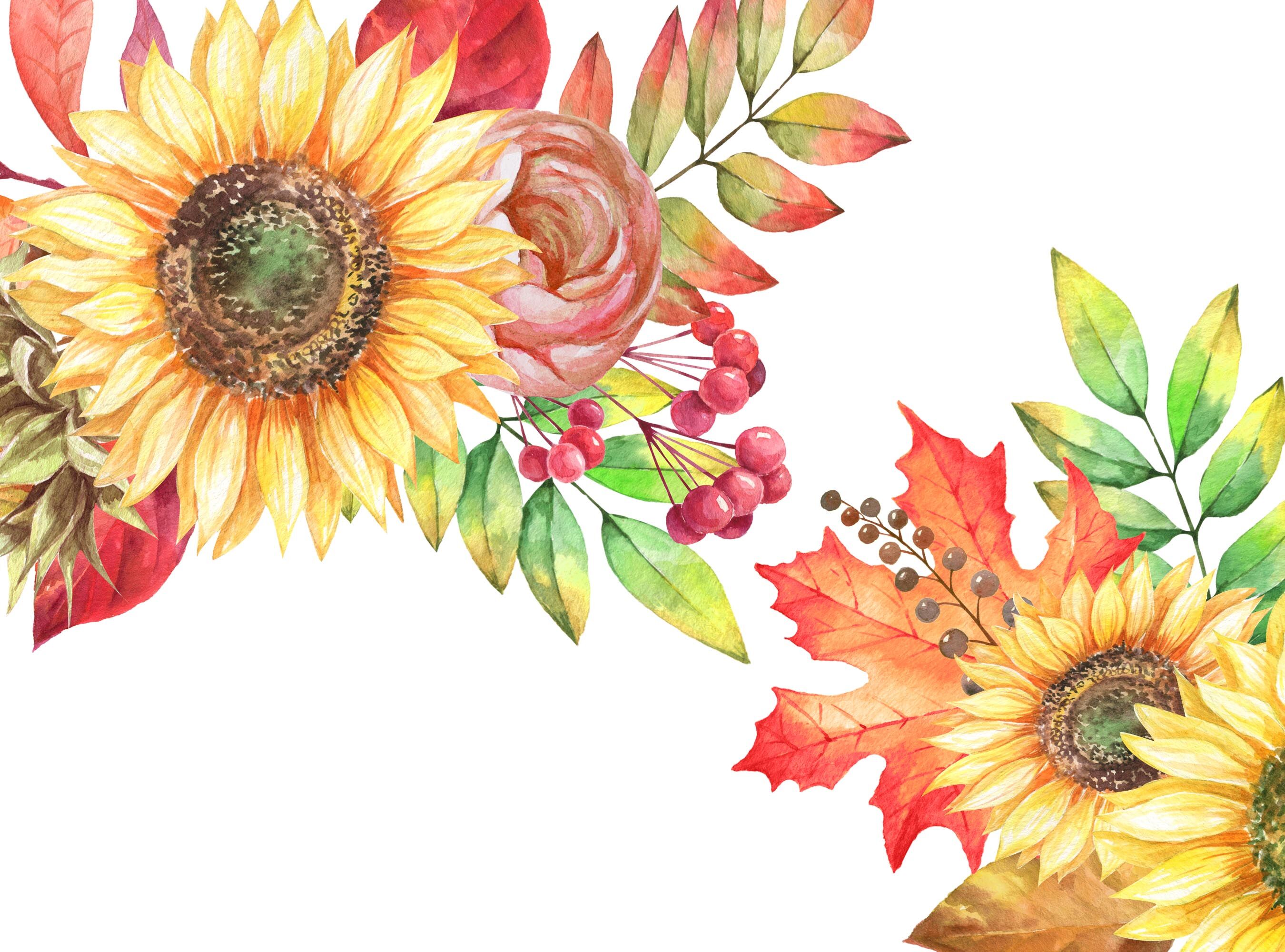 Watercolor autumn frames and bouquets clipart sunflowers leaves png By ...