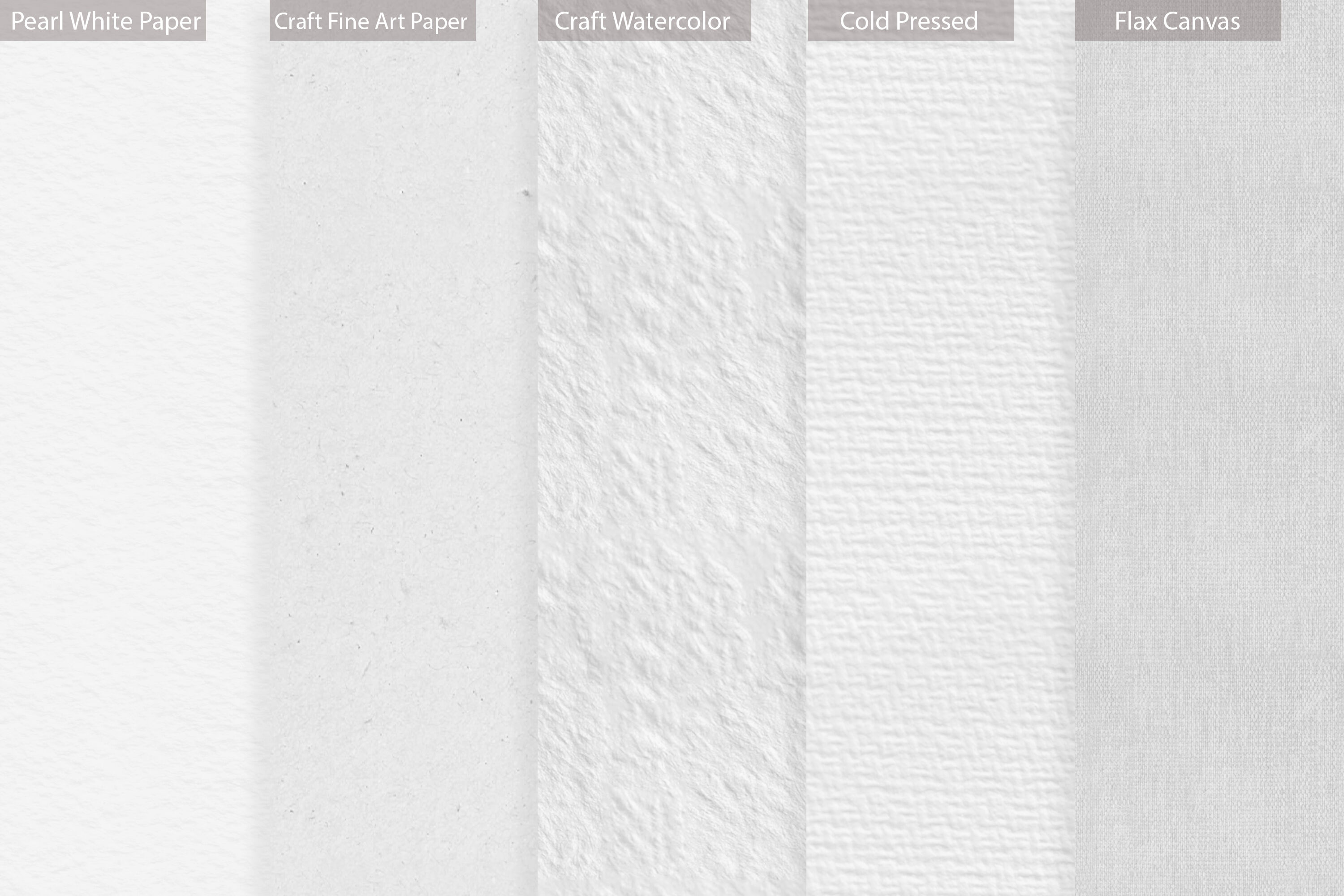 Paper Texture Procreate Brushes Color Palette Design Cuts 