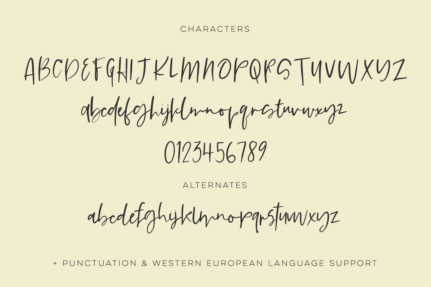 Springlet Script By Beck McCormick | TheHungryJPEG
