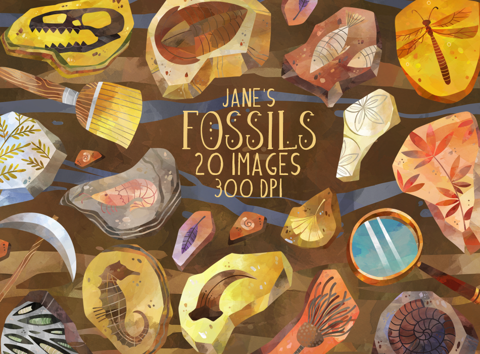 Watercolor Fossils Clipart By Digitalartsi | TheHungryJPEG