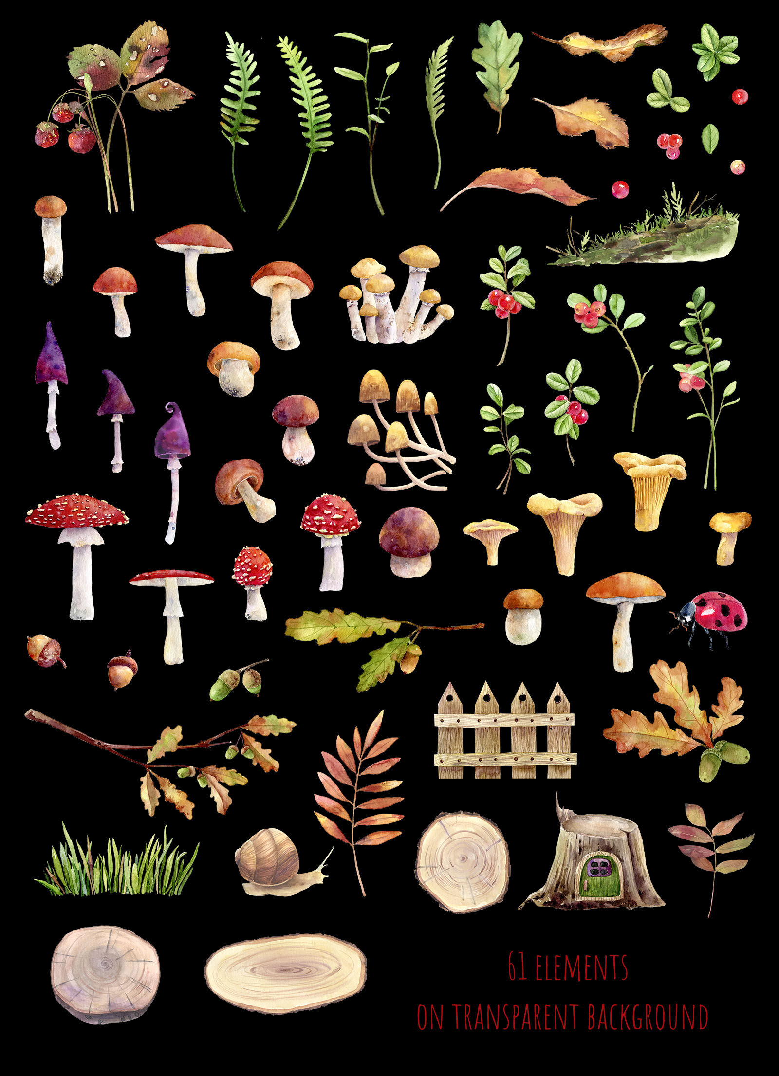 Fall woodland watercolor clipart, forest mushrooms png By ...