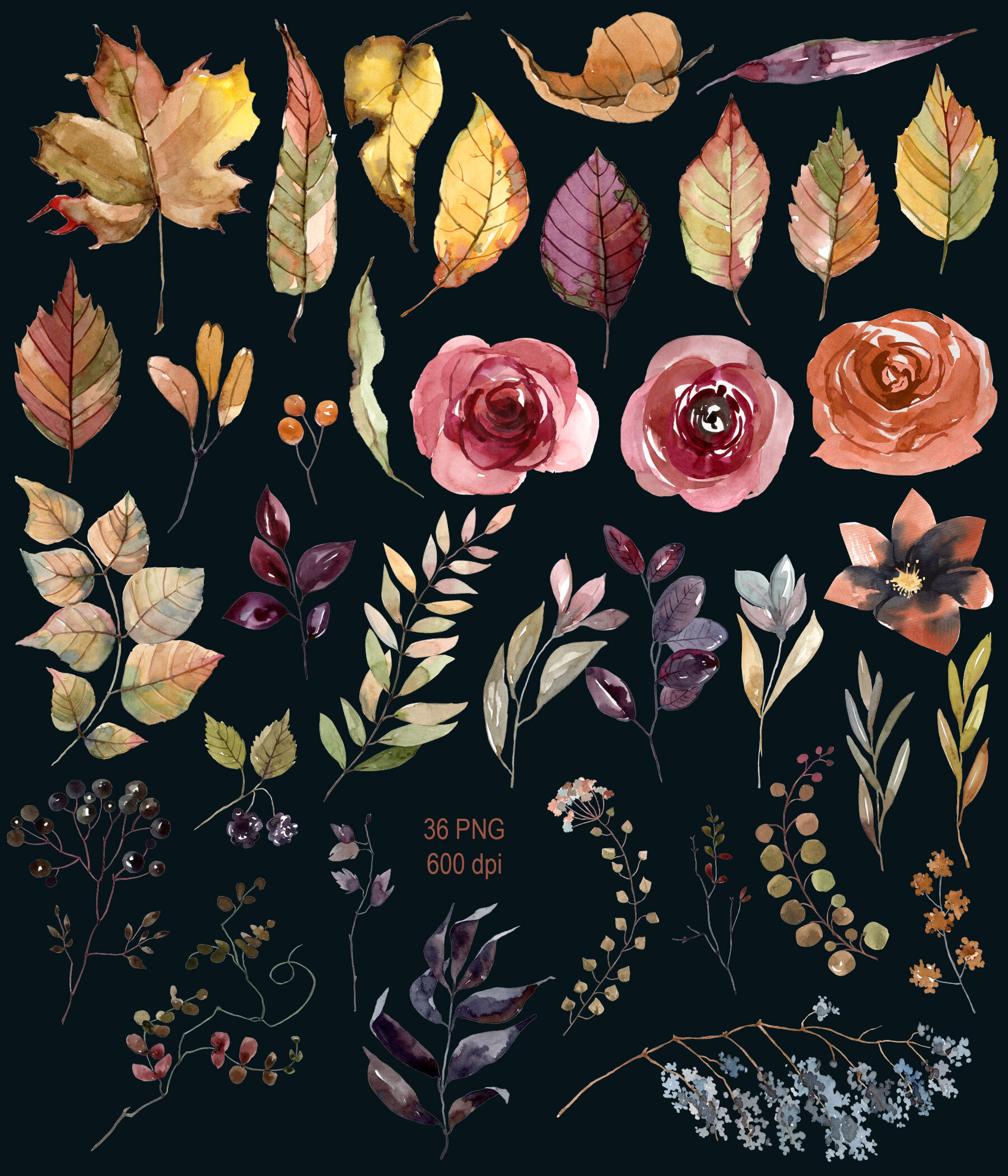 Watercolor Autumn Flower and Leaves clipart. Fall Rusty Clipart. Fall ...