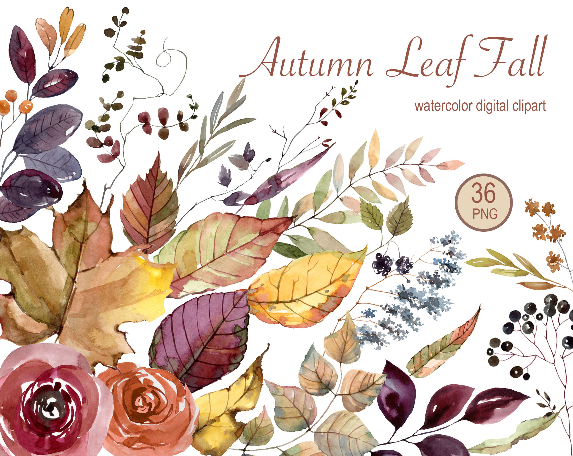 Watercolor Autumn Flower and Leaves clipart. Fall Rusty Clipart. Fall ...