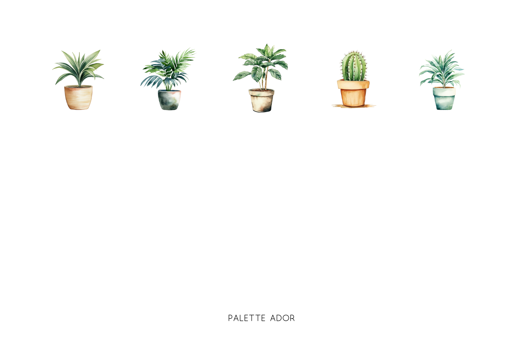 Watercolor House Plants By Palette Ador | TheHungryJPEG