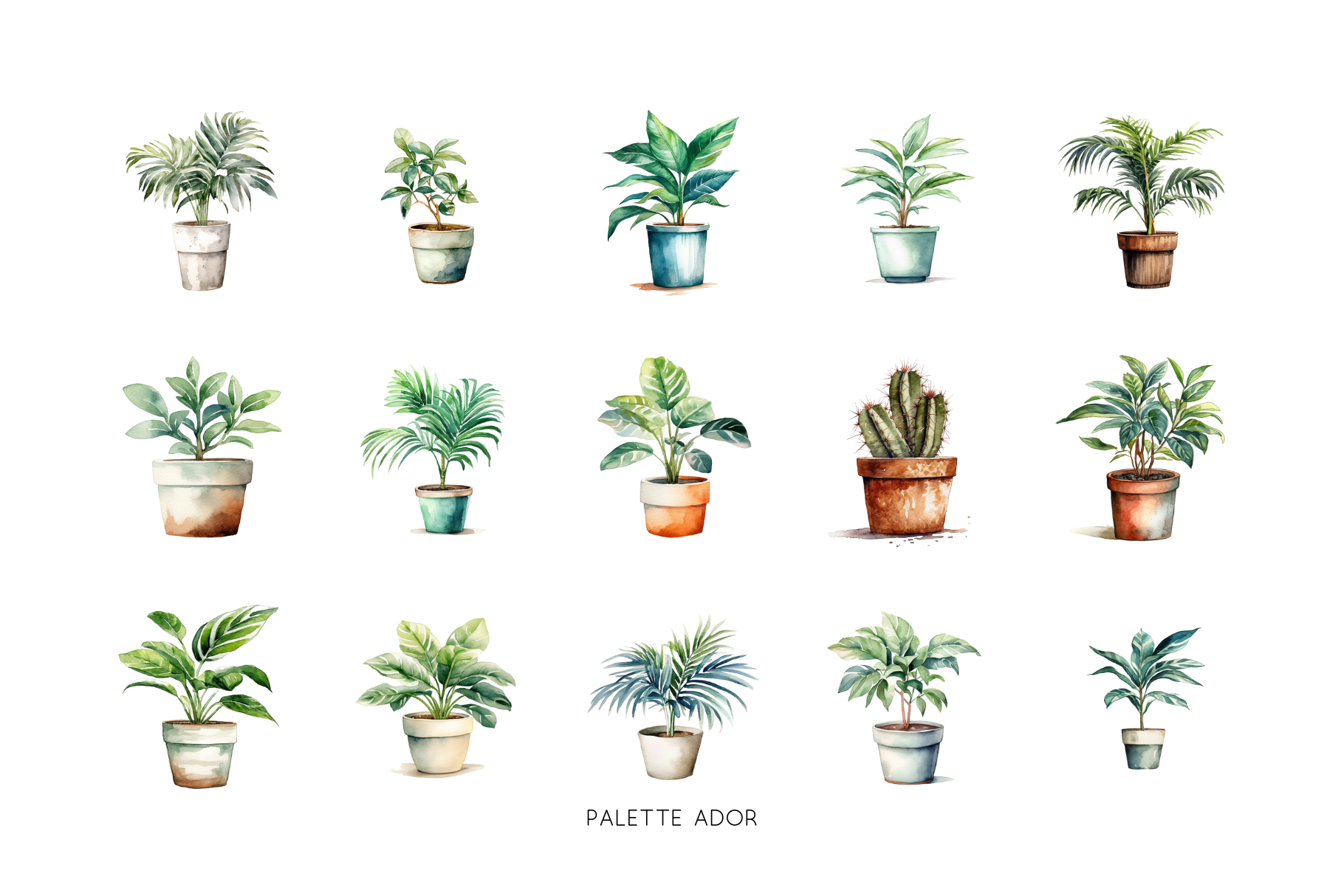 Watercolor House Plants By Palette Ador | TheHungryJPEG