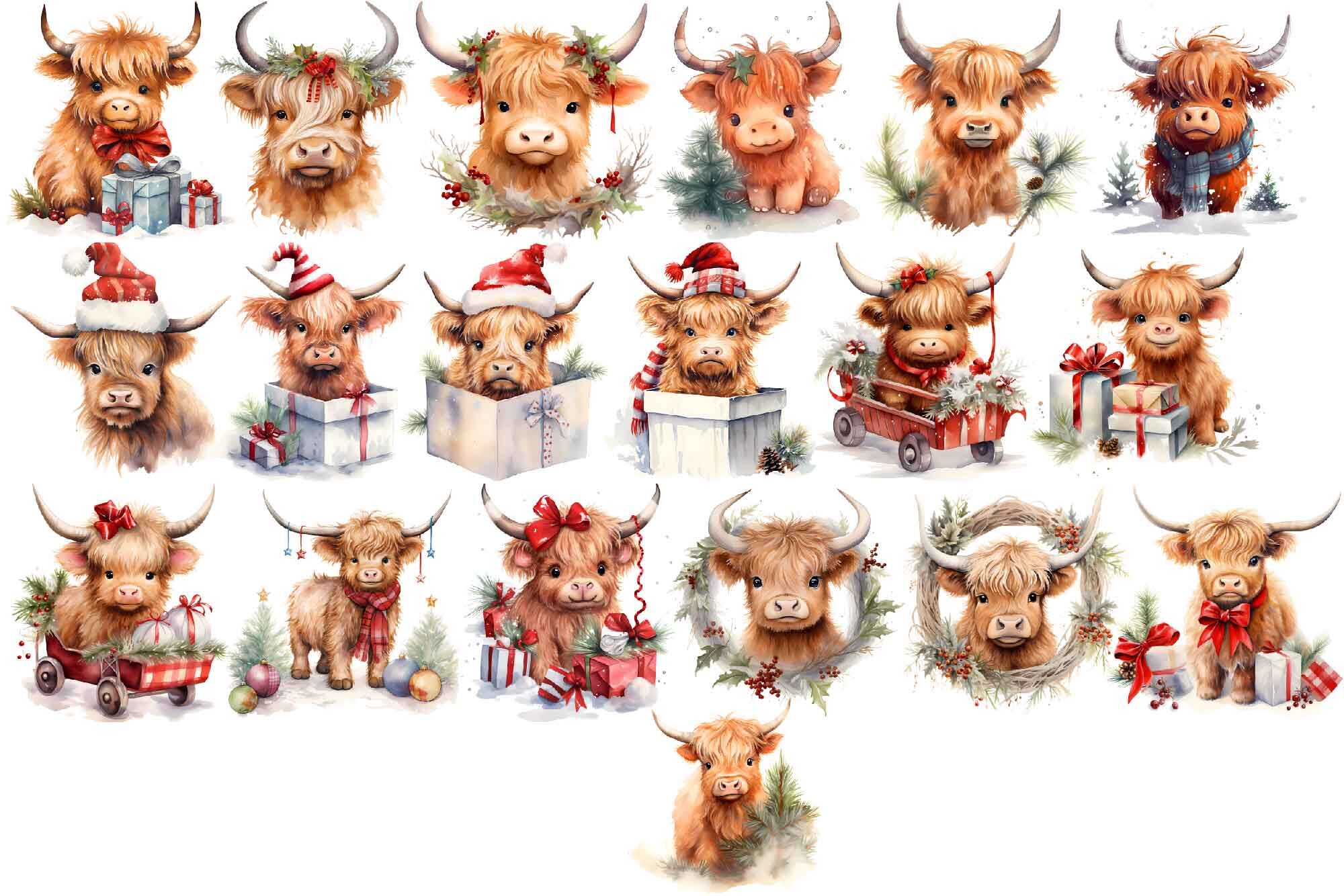 Christmas Baby Highland Cows Clipart | Winter Clip Art PNG By Fantasy ...